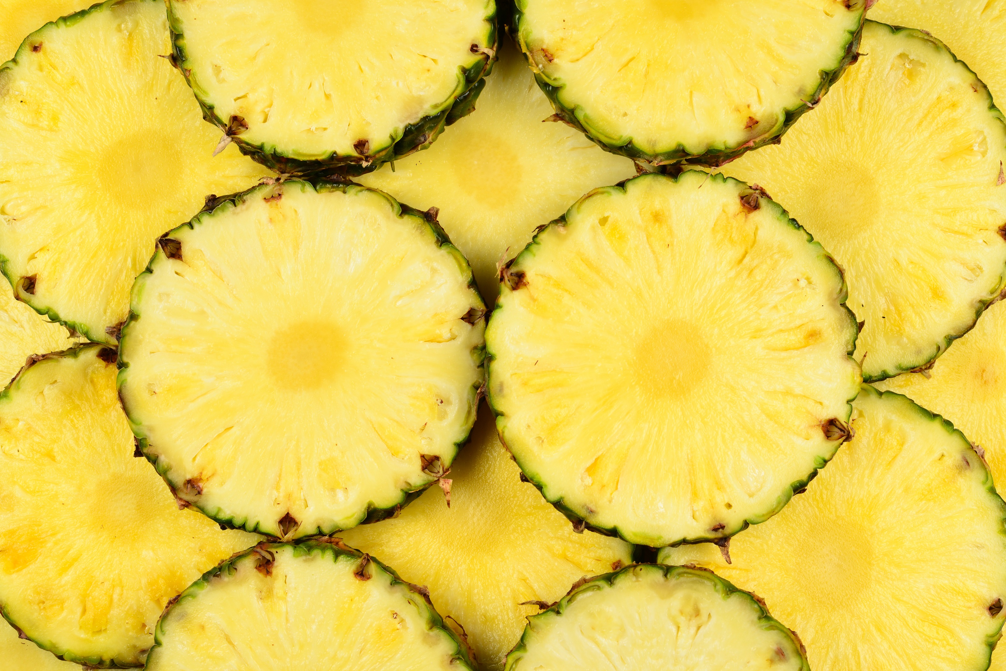 Enzymes | Biogena USA